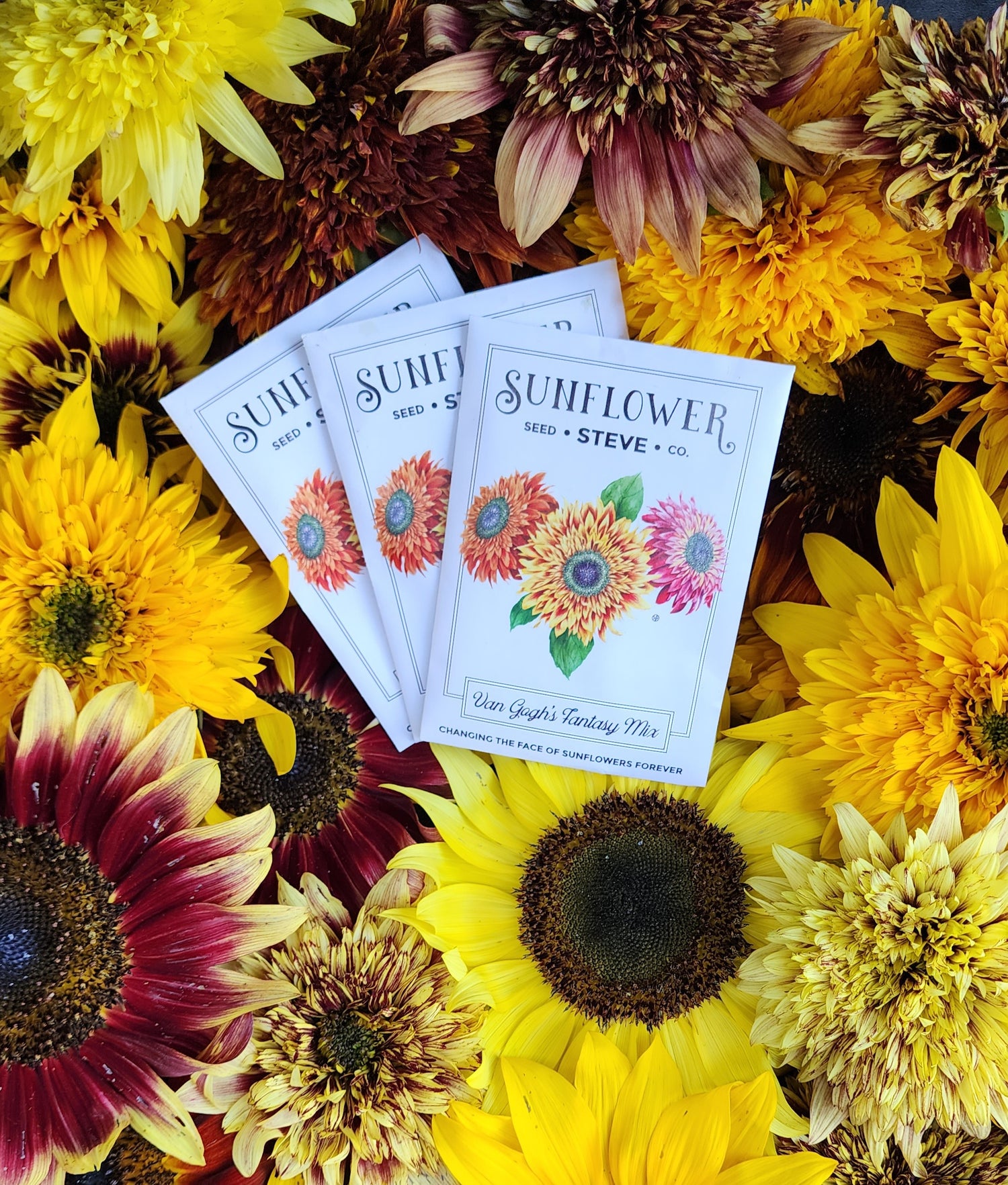 About – Sunflower Steve Seed Co.