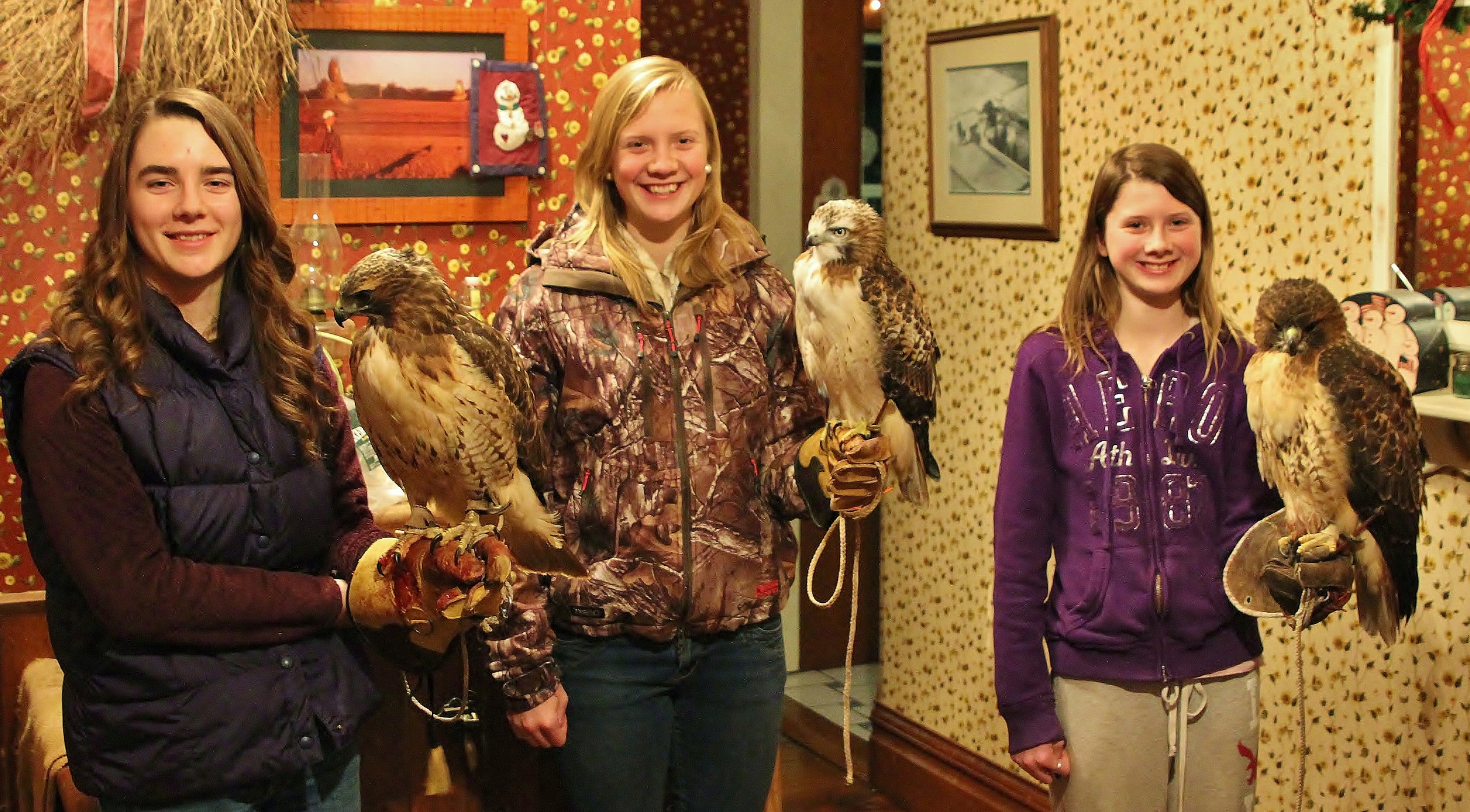 About – Sunflower Steve Seed Co.