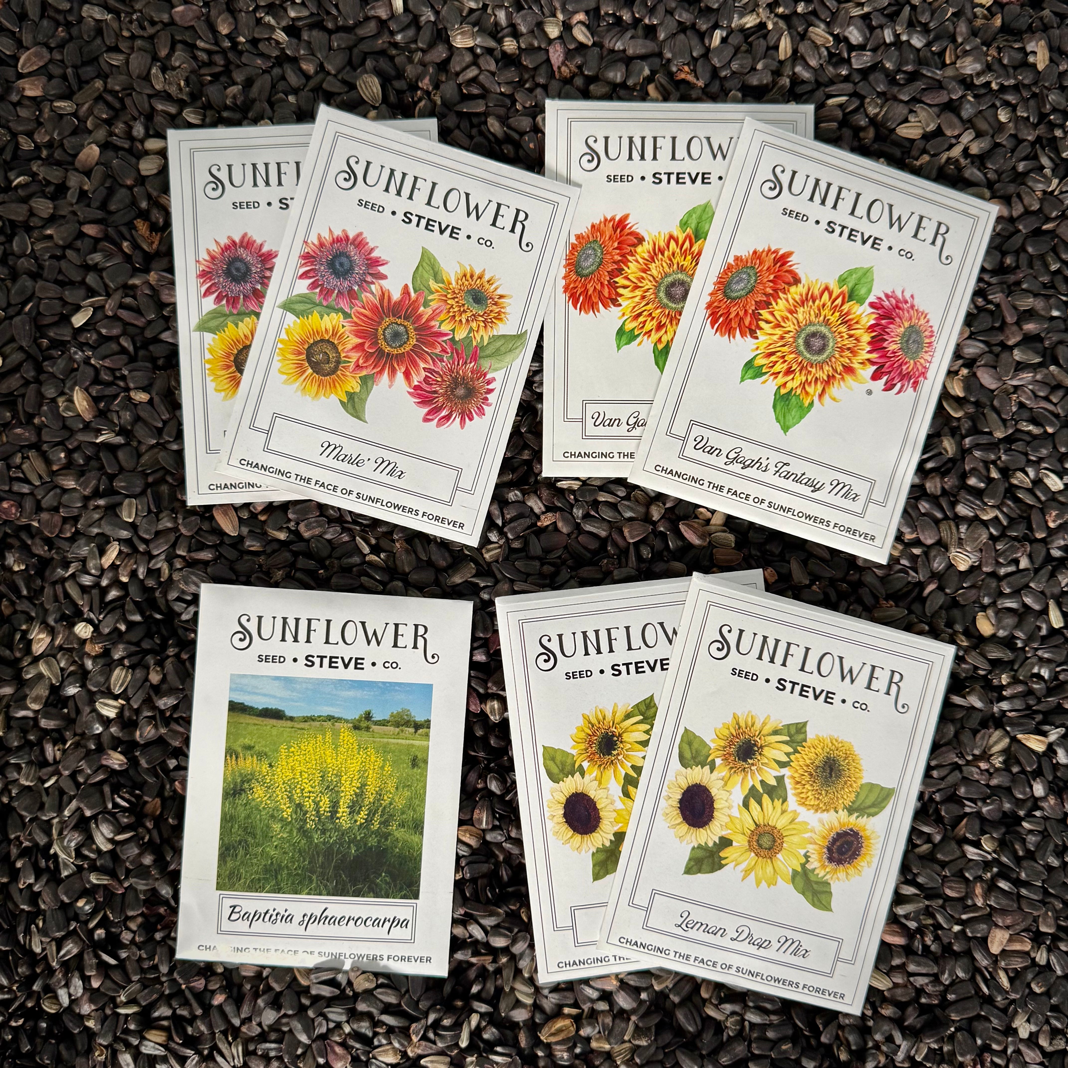 The Sunflower Steve Collection – Sunflower Steve Seed Co.